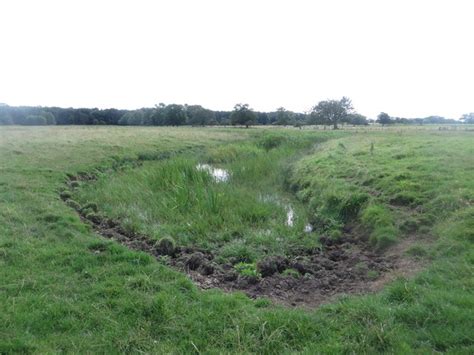 Oxbow Lake Co Curate