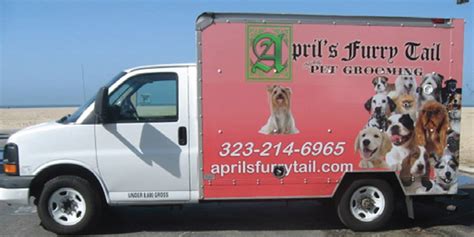 Van Nuys Mobile Dog And Cat Groomer 10 Off