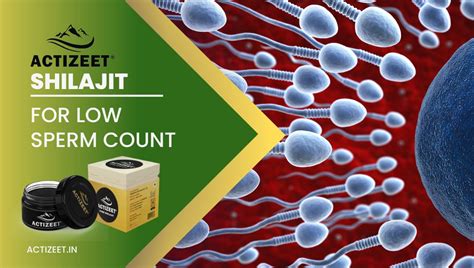 Shilajit For Sperm Count The Natural Indian Secret For Male Fertility