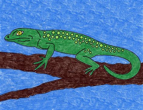 Simple Lizard Diagram How To Draw A Lizard Design School
