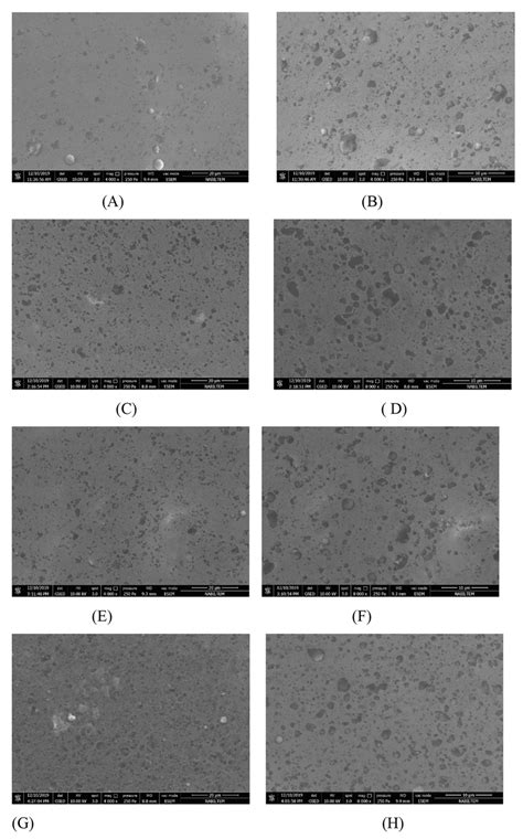 Microstructure Of Ice Cream Samples A B Sample Containing Sahlep