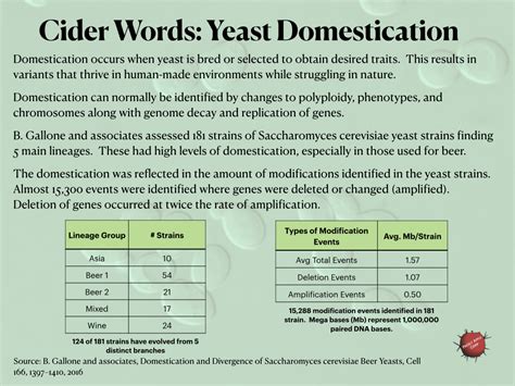 Cider Words Yeast Domestication