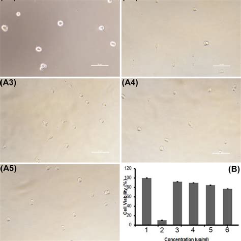 Structure Of Madecassoside Mad Download Scientific Diagram
