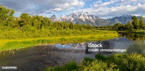 Dini Hari Di Taman Nasional Grand Teton Foto Stok Unduh Gambar