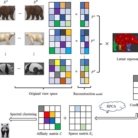 visualization of affinity matrix generated by lmsc on different
