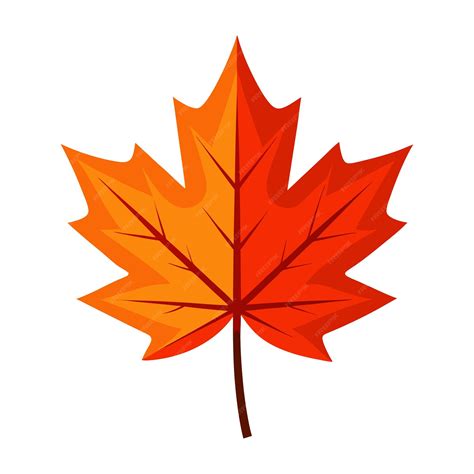 Premium Vector A Vector Illustration Of Maple Leaf On White Background