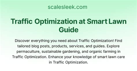 Level Up Your Traffic Optimization Scale Sleek Level Up Your Traffic Optimization Scale Sleek