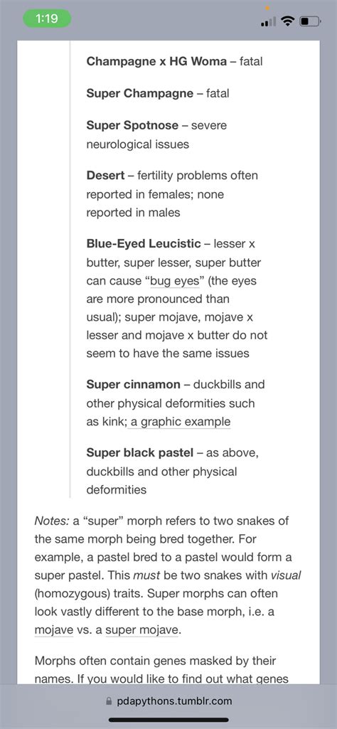 What Morphs Have The Spider Gene R Ballpython