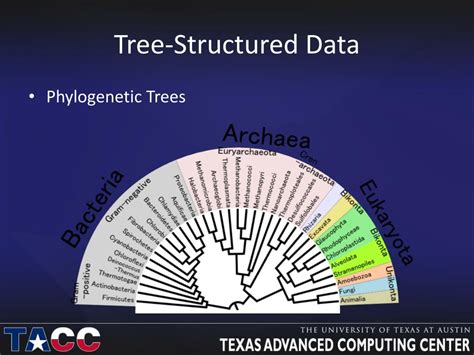 Ppt Information Visualization Powerpoint Presentation Free Download