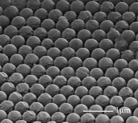 Sem Image Of A Monolayer Ps Nanospheres After Gold Coating Download Scientific Diagram