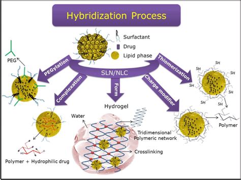 Schematic Representation Of Different Lipid Nanoparticles Slnnlc