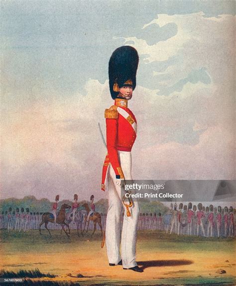 Officer Grenadier Guards 19th Century From British Military