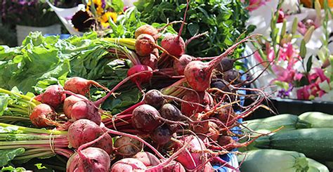 Nitrate Salts Vs Beetroot How Do They Compare Nutritionally Prospector