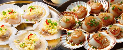 6pcs Scallop Shells 4‘ 45 Natural Sea Shells Yellow