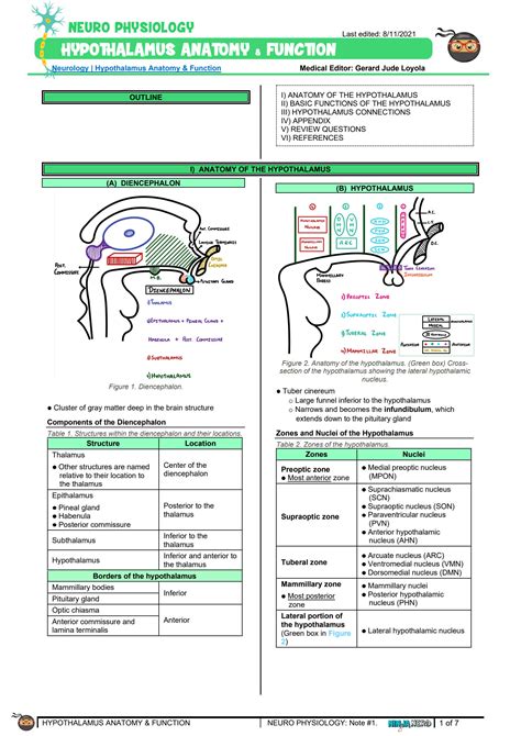 Solution 079 Neurology Physiology Hypothalamus Anatomy Function