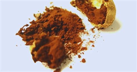 El Carbón Del Maní Bajo La Lupa Un Mapa Estratégico Para El Manejo Del