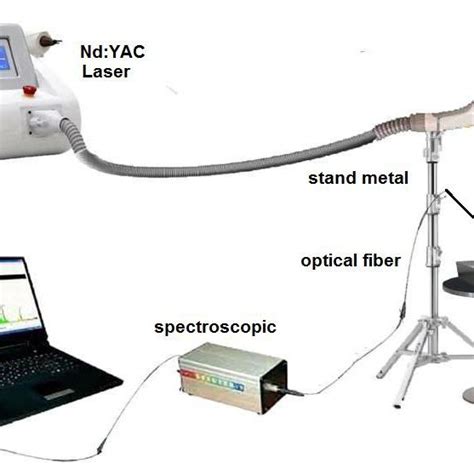 Diagrammatic Representation Of Libs System Download Scientific Diagram