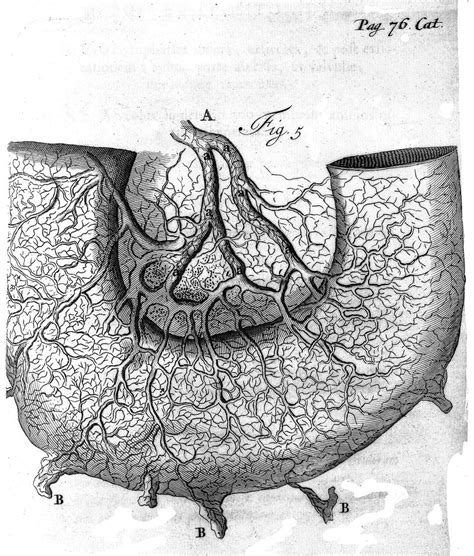 Frederici Images Free Photos Png Stickers Wallpapers And Backgrounds Rawpixel