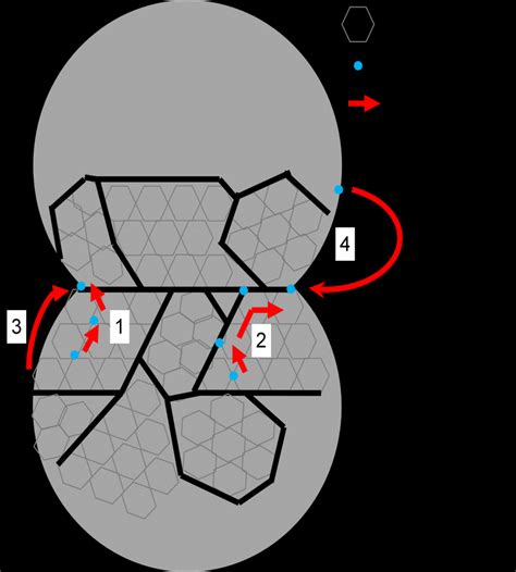15 Mass Transport Diffusion Pathways During Sintering Download