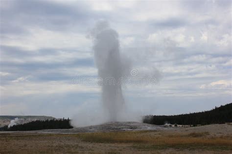 Old Faithful Yellowstone National Park Montana Stock Image Image Of