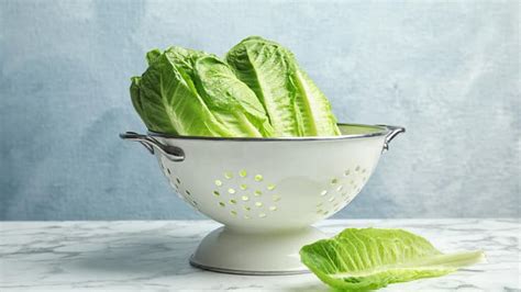 מה הורס לכם את הסלט 5 טעויות נפוצות