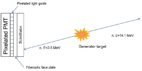 Schematic Of Particle Generation And Tagging In An Associated Particle Download Scientific