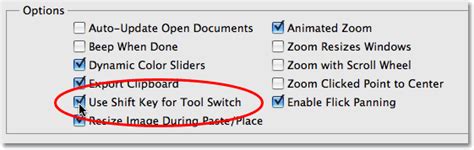 The Elliptical Marquee Tool Photoshop Selections