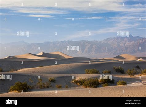Usa California Death Valley National Park Mesquite Flat Sand Dunes