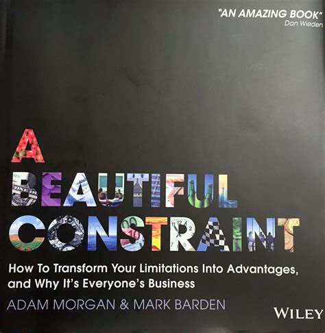 A Beautiful Constraint The Marketing Sage