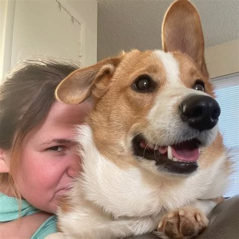 Mine Bites Me Whenever He Wants Me To Do Something 😒