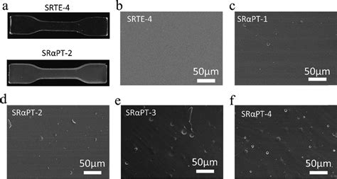 Microstructure And Morphology Of Modified Silicone Rubber A