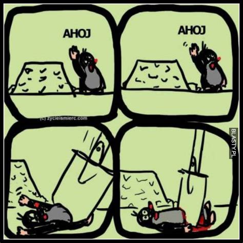 20 Memów Kret Najlepsze śmieszne Memy I Demotywatory Facebook Kret