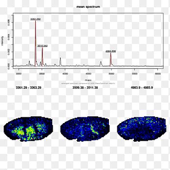 Proteomics Png Images PNGEgg