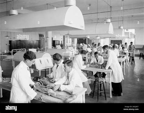 American University Of Beirut Historical Image Showing Students In A