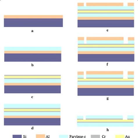 Diagrams Of The Microelectrode Array A Schematic Diagram Of The Download Scientific Diagram