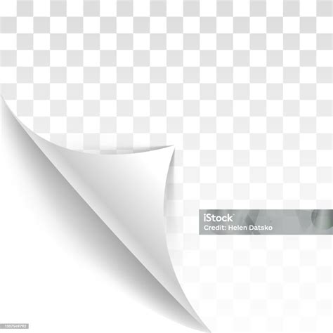 빈 용지에 그림자가 있는 페이지 컬 백서 스티커 투명 한 배경에 격리 된 광고 및 홍보 메시지에 대 한 요소 디자인 및 비즈니스에 대한 벡터 그림 페이지 책에 대한 스톡