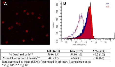 Darc Expression On Erythrocytes Aarepresentative Field Showing Darc
