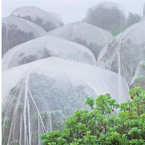 China Customized Anti Insect Net Manufacturers Suppliers And Factory