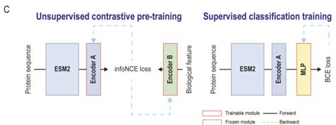 Nc 2025 基于对比学习的语言嵌入和生物特征用于跨模态编码和效应蛋白预测contrastive Learning Of