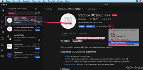 macos vscode dosbox 8086汇编语言开发调试环境搭建方法 包含所有相关的工具的下载和安装配置方法 vscode