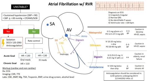 Cardiology Archives Teachim