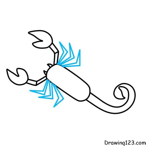 Akrep Çizimi Eğitimleri Adım Adım Akrep Nasıl çizilir