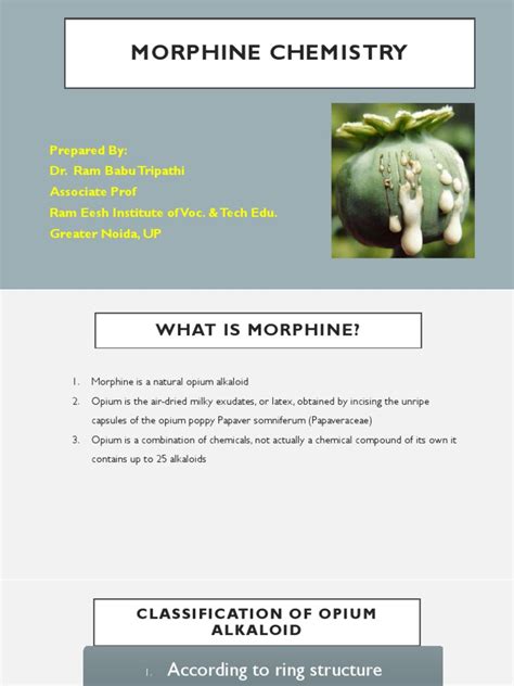 Morphine Chemistry Pdf Morphine Opium