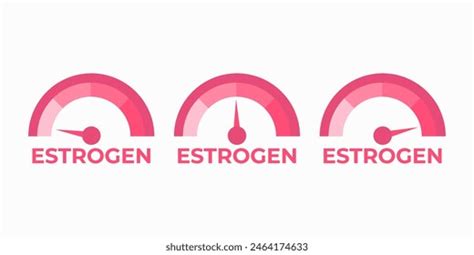 Estrogen Hormone Level Meters Vector Illustration Stock Vector Royalty