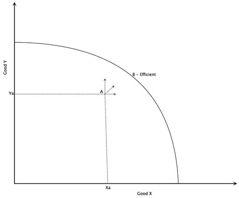 Theory Of Efficiency Intelligent Economist