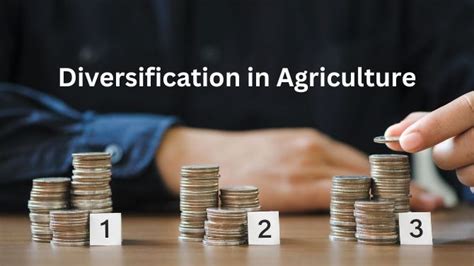 Diversification In Agriculture Exploring Alternative Crops And