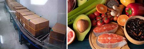 Exploring Gamma Sterilization Temperature Guidelines Ebm Machine