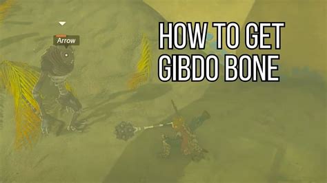 How To Get Gibdo Bone In Zelda Tears Of The Kingdom
