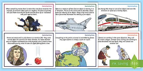 Fascinating Forces Display Facts Posters Teacher Made