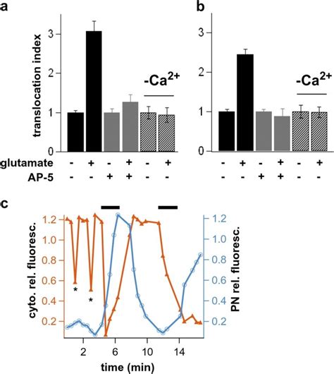 The Stimulus Induced Translocation Of The Kras Membrane Interaction